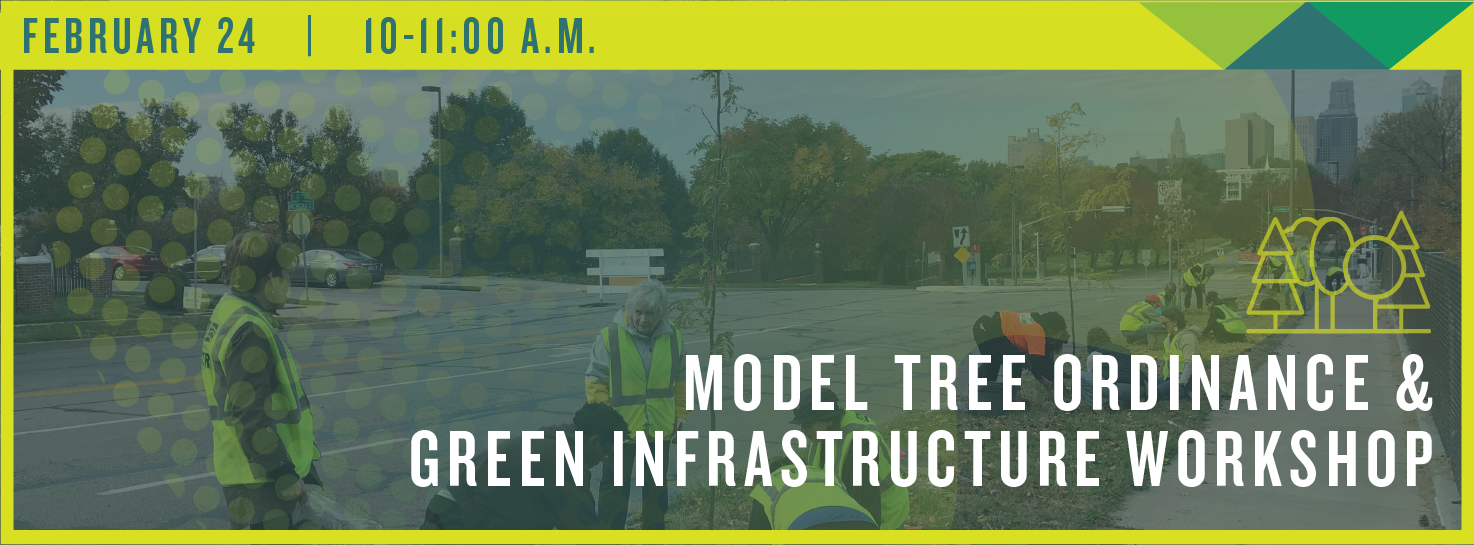 Model Tree Ordinance and Green Infrastructure Workshop